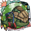 Class Turtle Token Builder | Customize and Randomize Czepeku Tokens