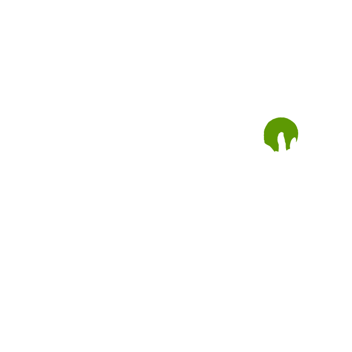 Fey Token Builder | Customize and Randomize Czepeku Tokens
