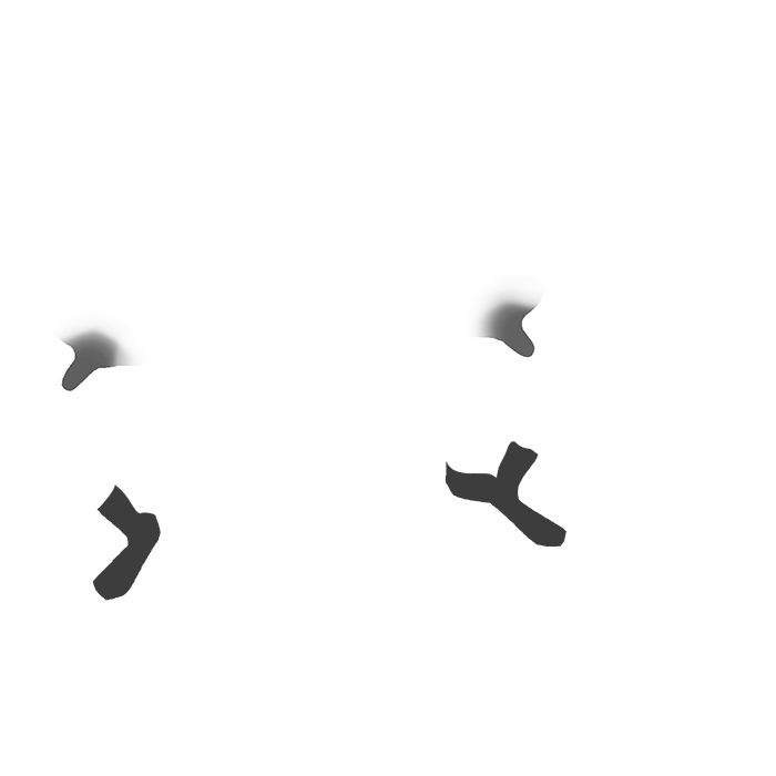Fey Token Builder | Customize and Randomize Czepeku Tokens