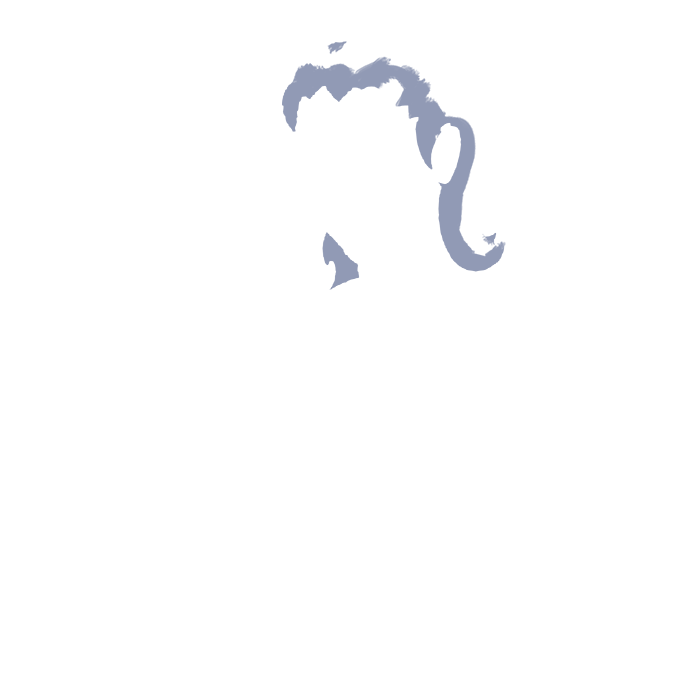 Flamboyant Wizard Token Builder | Customize and Randomize Czepeku Tokens