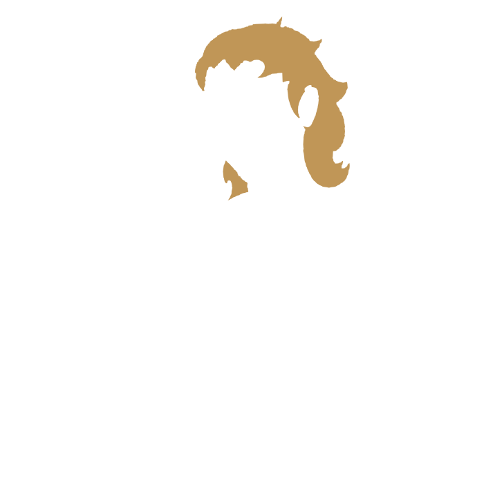 Flamboyant Wizard Token Builder | Customize and Randomize Czepeku Tokens