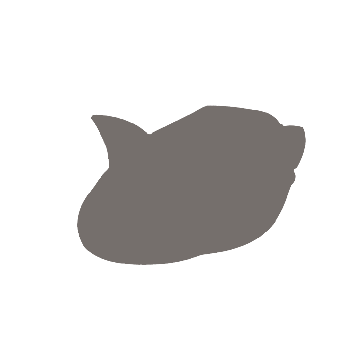 Shark Folk Companion Token Builder | Customize and Randomize Czepeku Tokens